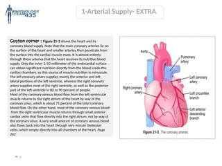 AUTO REGULATION OF CORONARY BLOOD FLOW.pptx
