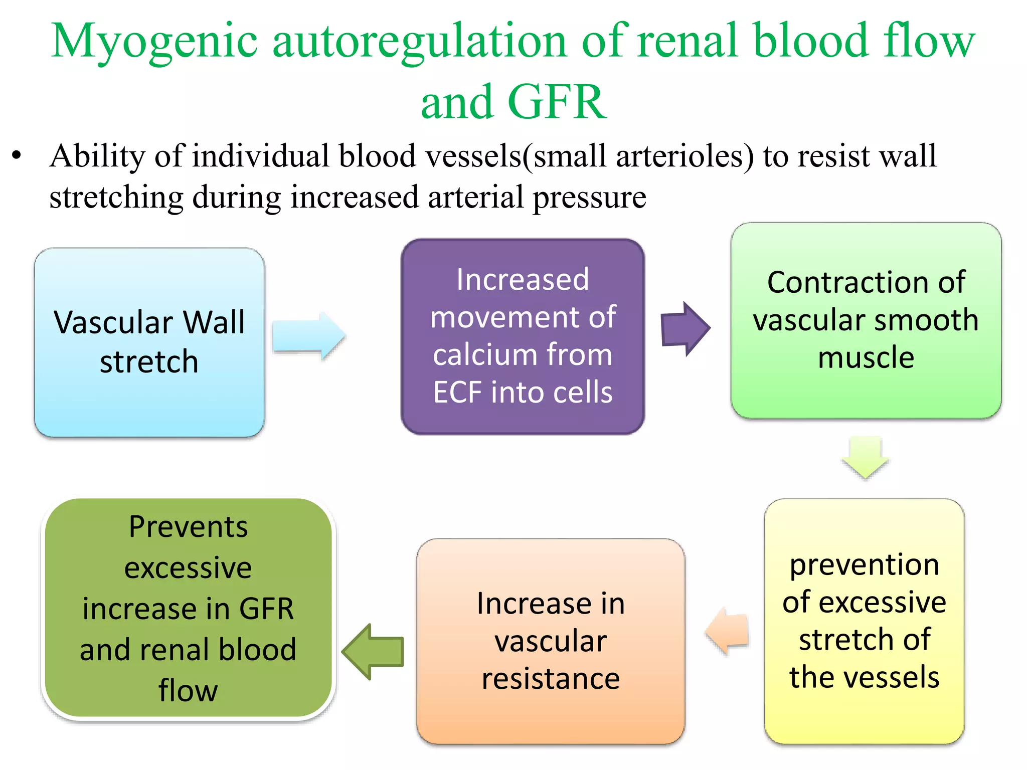 Autoregulation of glomerular filtration rate and renal blood | PPTX