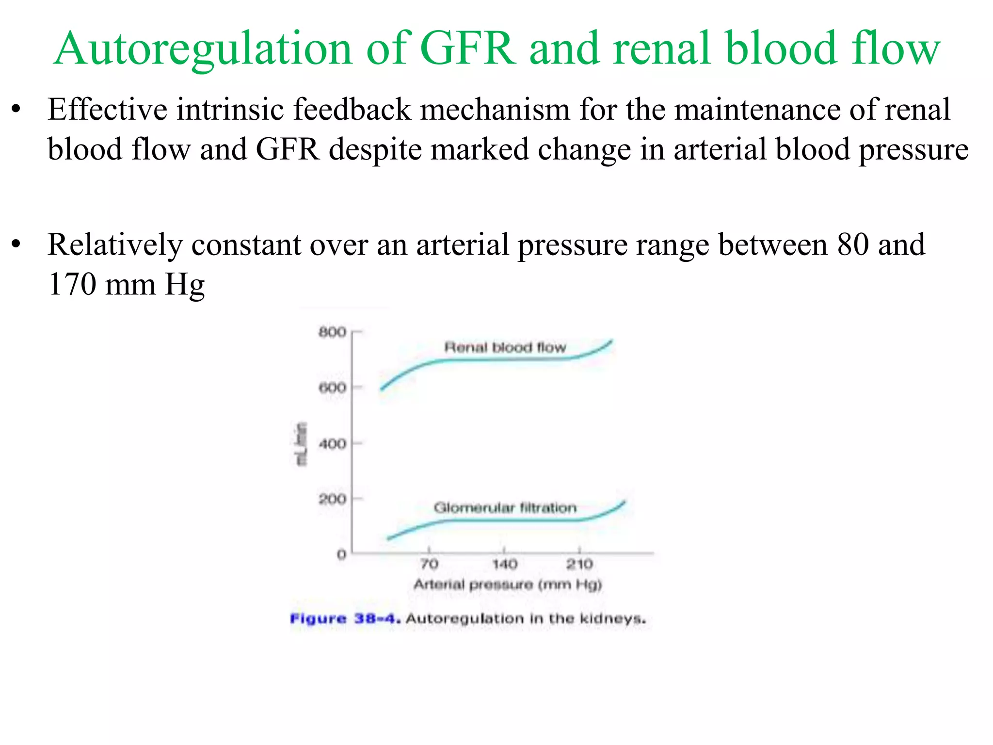 Autoregulation of glomerular filtration rate and renal blood | PPTX