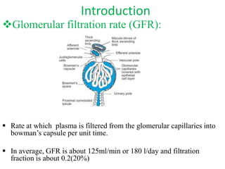 Autoregulation of glomerular filtration rate and renal blood | PPTX