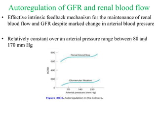 Autoregulation of glomerular filtration rate and renal blood | PPTX