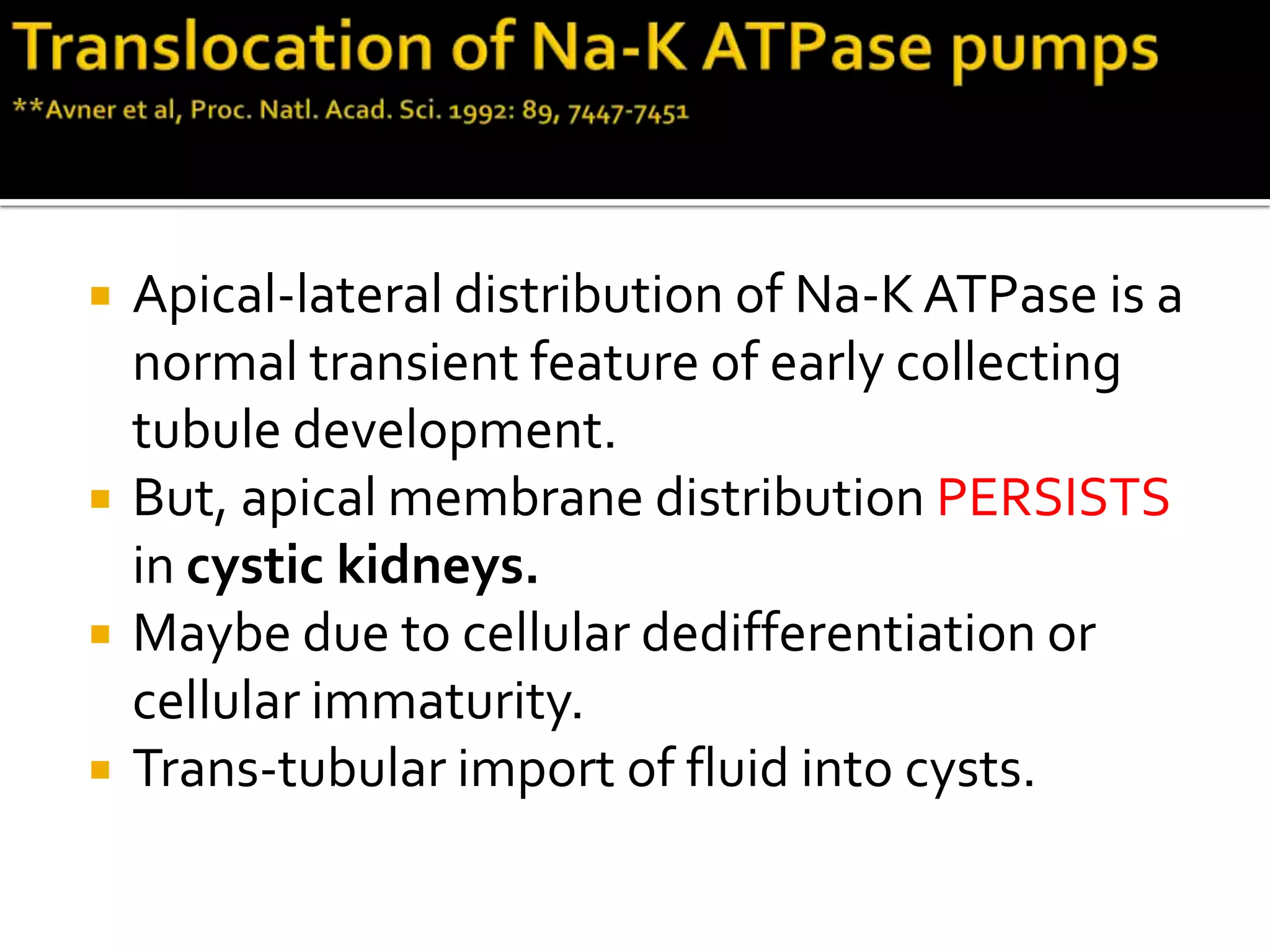 Autosomal dominant polycystic kidney disease (adpkd) | PPTX