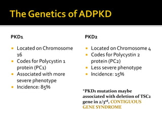 Autosomal dominant polycystic kidney disease (adpkd) | PPTX