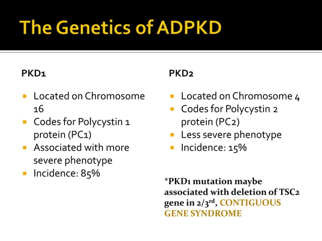 Autosomal dominant polycystic kidney disease (adpkd) | PPT