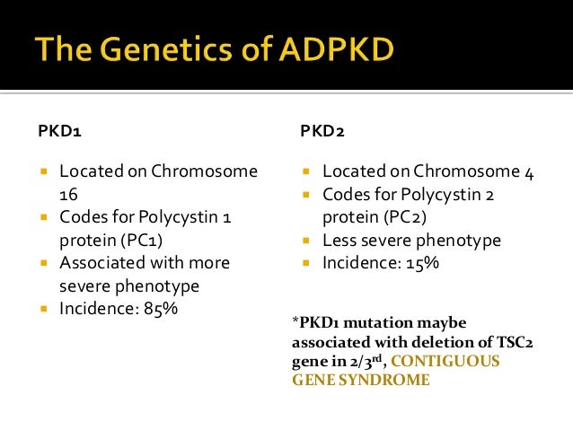 Autosomal dominant polycystic kidney disease (adpkd)