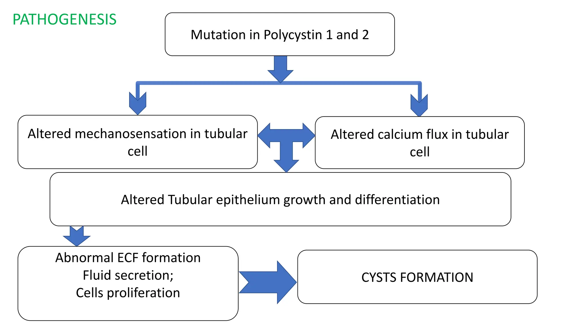 Autosomal Dominant Polycystic Kidney Disease (ADPKD).pptx