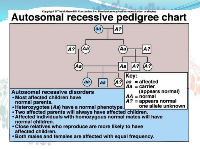 Autosomal recessive disorders | PPTX | Genealogy and Ancestry | Hobbies ...