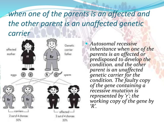 Autosomal recessive disorders | PPTX | Genealogy and Ancestry | Hobbies ...