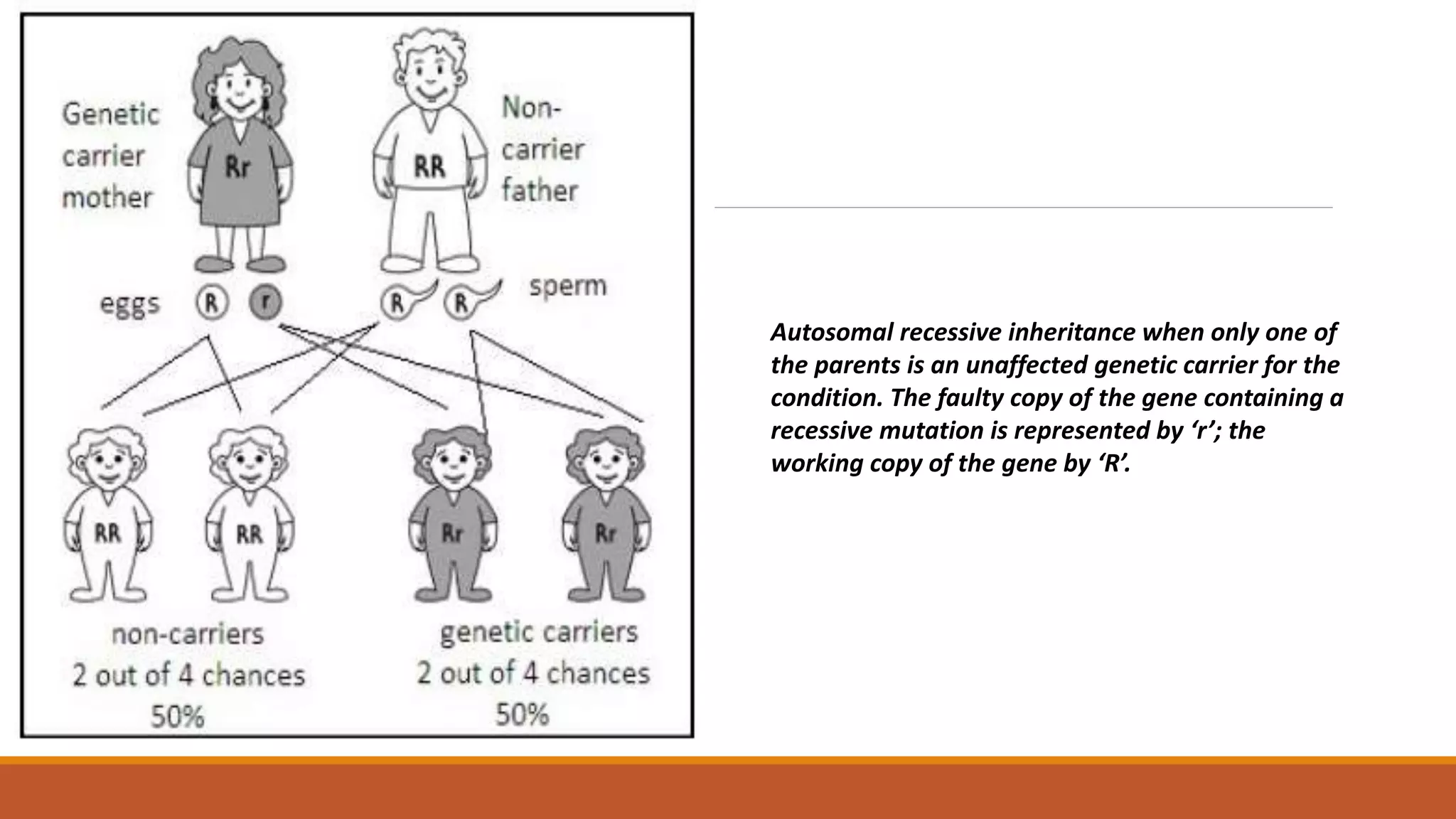 Autosomal recessive inheritance | PPTX
