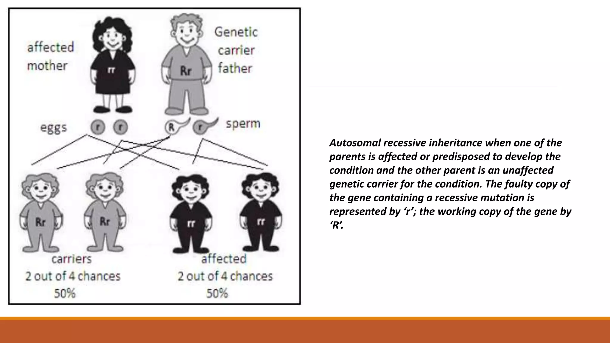 Autosomal recessive inheritance | PPTX