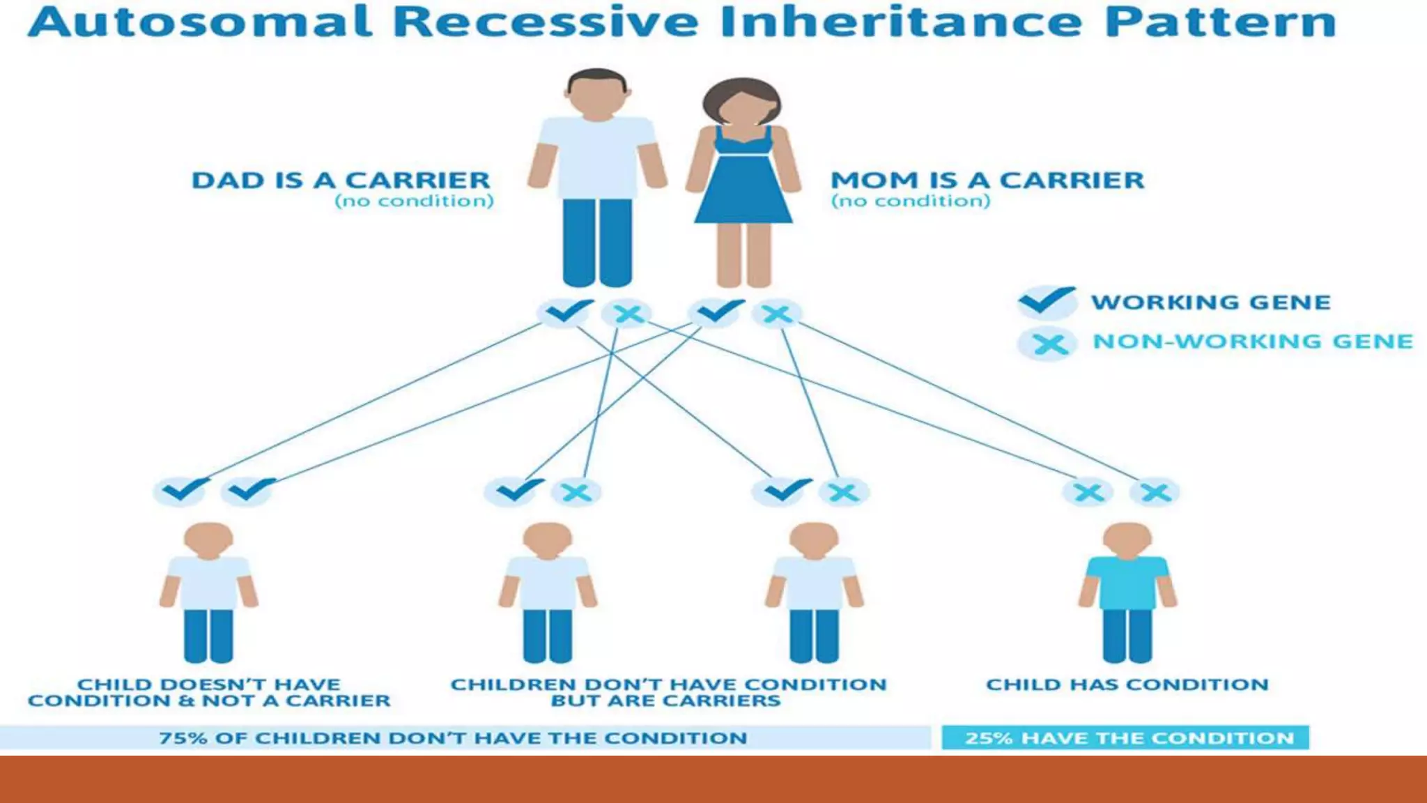 Autosomal recessive inheritance | PPTX