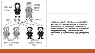 Autosomal recessive inheritance | PPTX