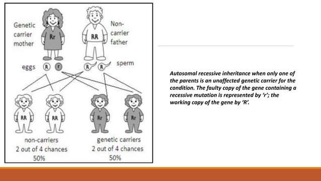 Autosomal recessive inheritance | PPT