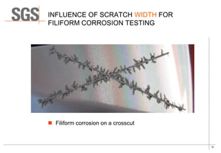 Automotive Testing Case Studies | PDF