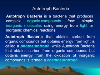 Autotroph & heterotroph bacteria | PPT
