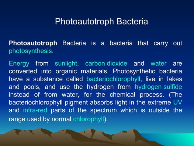 Autotroph & heterotroph bacteria | PPT