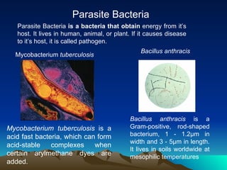 Autotroph & heterotroph bacteria | PPT