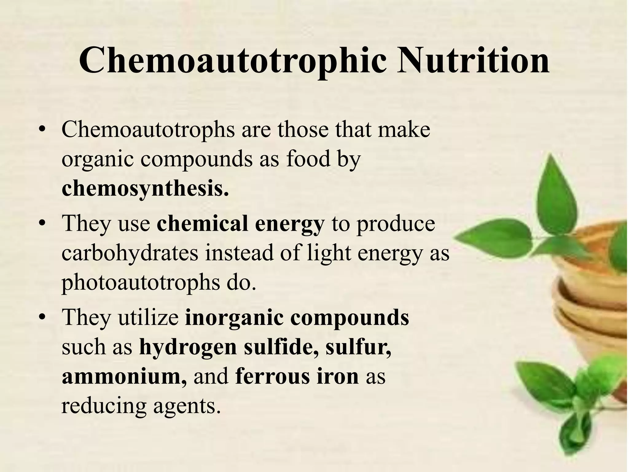 Autotrophic mode of Nutrition | PPTX