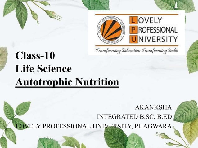 Autotrophic mode of Nutrition | PPTX