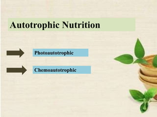 Autotrophic mode of Nutrition | PPTX