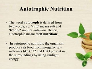Autotrophic Nutrition