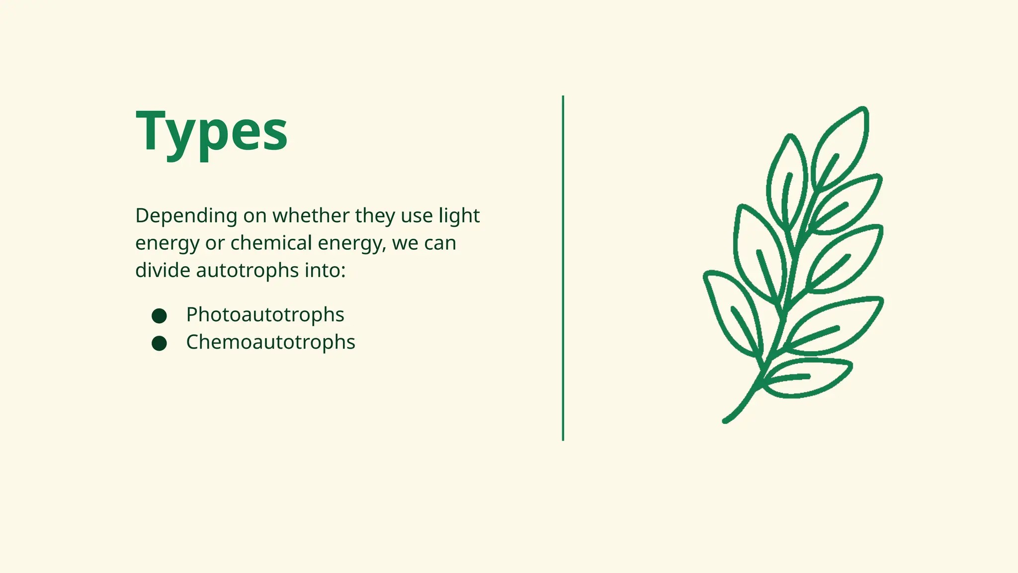 Autotrophic Nutrition Presentation Green | PPT