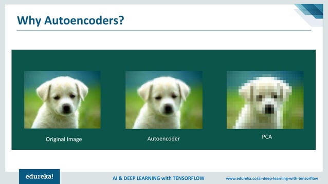Autoencoders Tutorial Autoencoders In Deep Learning Tensorflow Tr