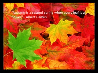 Autumn | PPTX