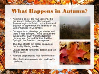 Autumn | PPT