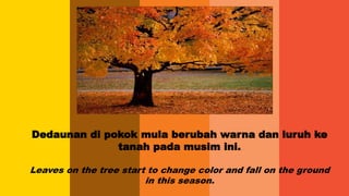 A WONDER OF THE WORLD: AUTUMN | PPTX