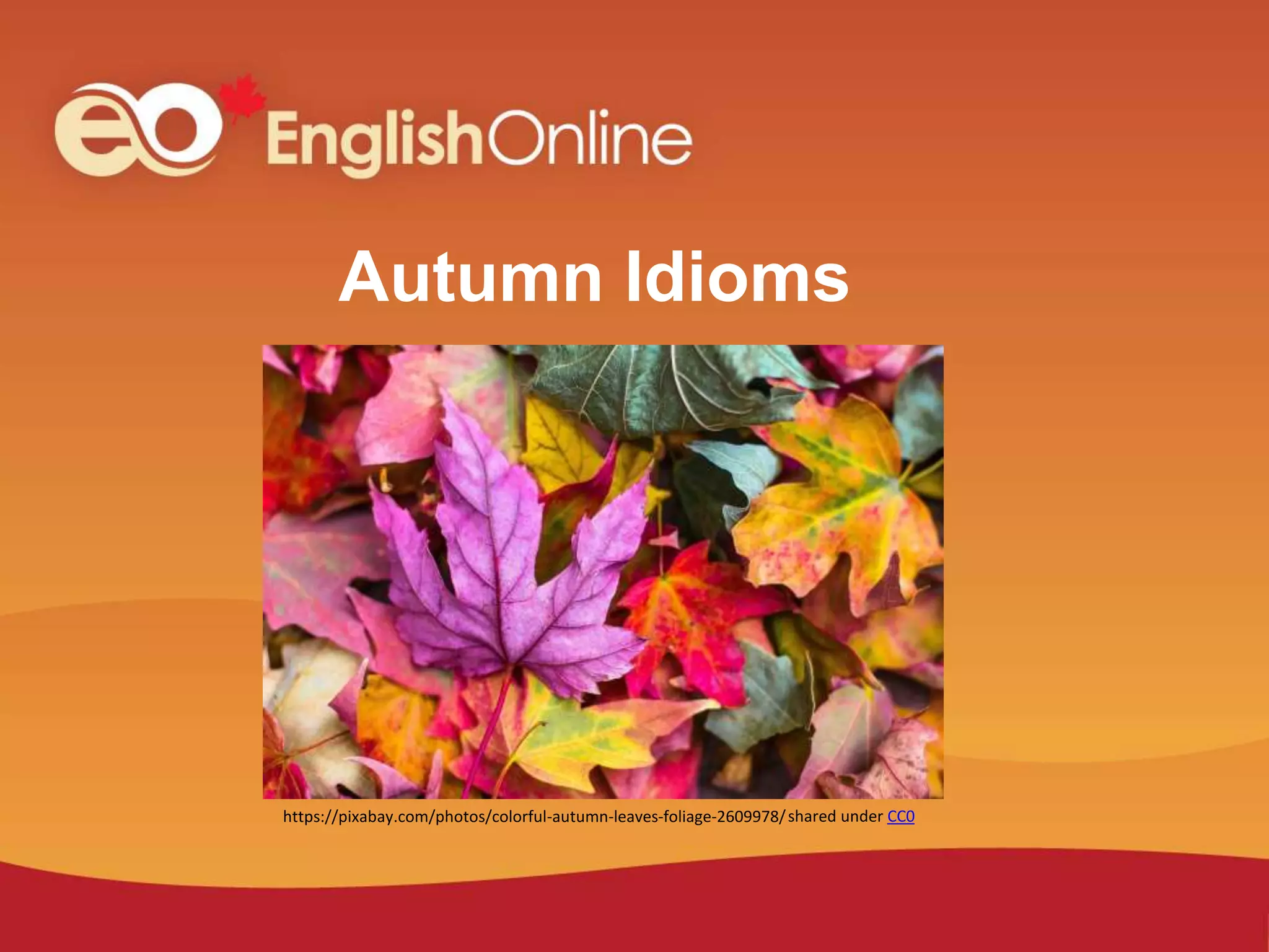 Autumn idioms | PPTX