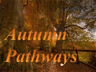 Autumn pathways | PPT