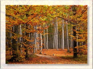 Autumn pathways | PPT