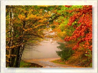 Autumn pathways | PPT