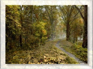 Autumn pathways | PPT