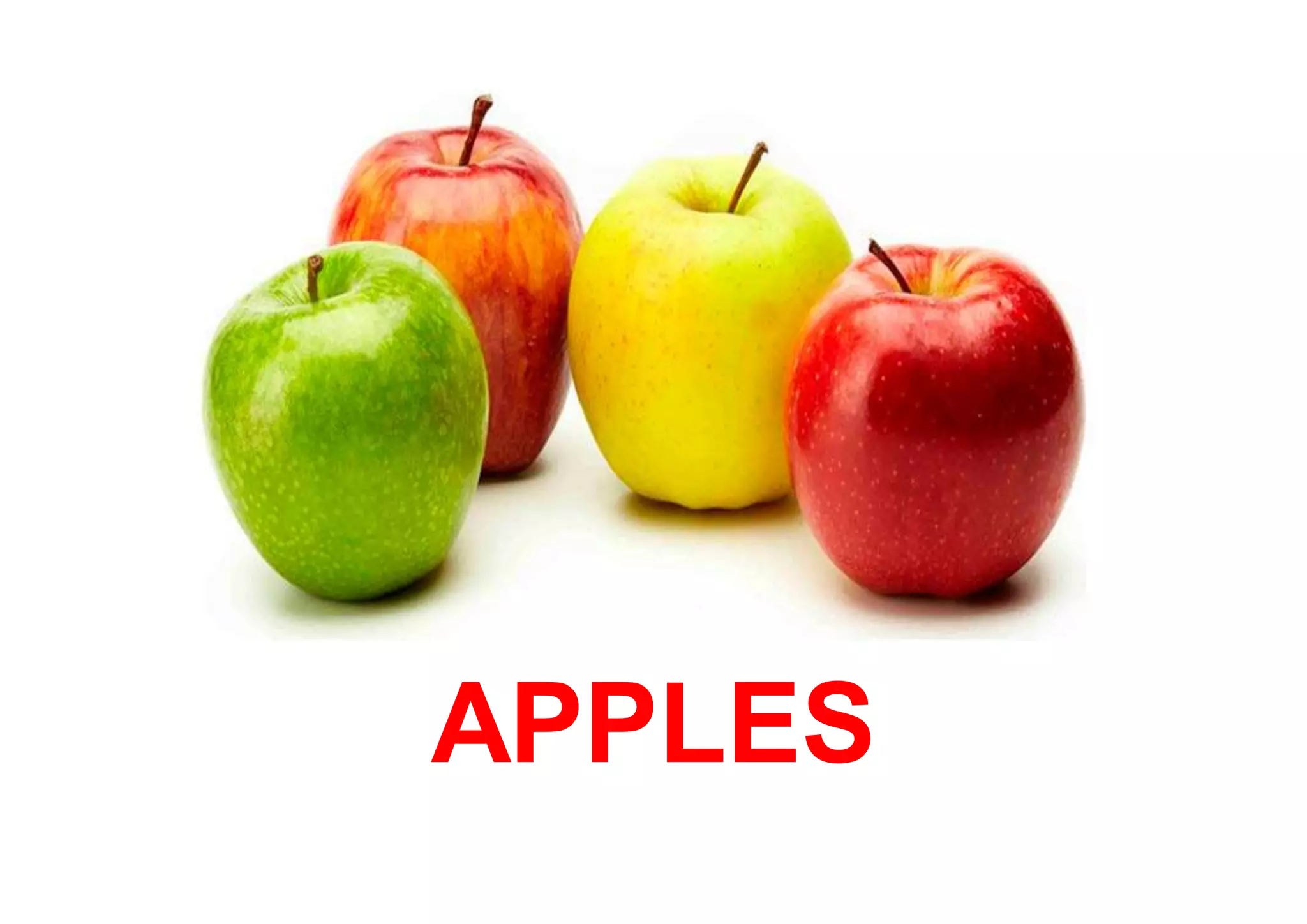 AUTUMN VOCABULARY P4 | DOCX