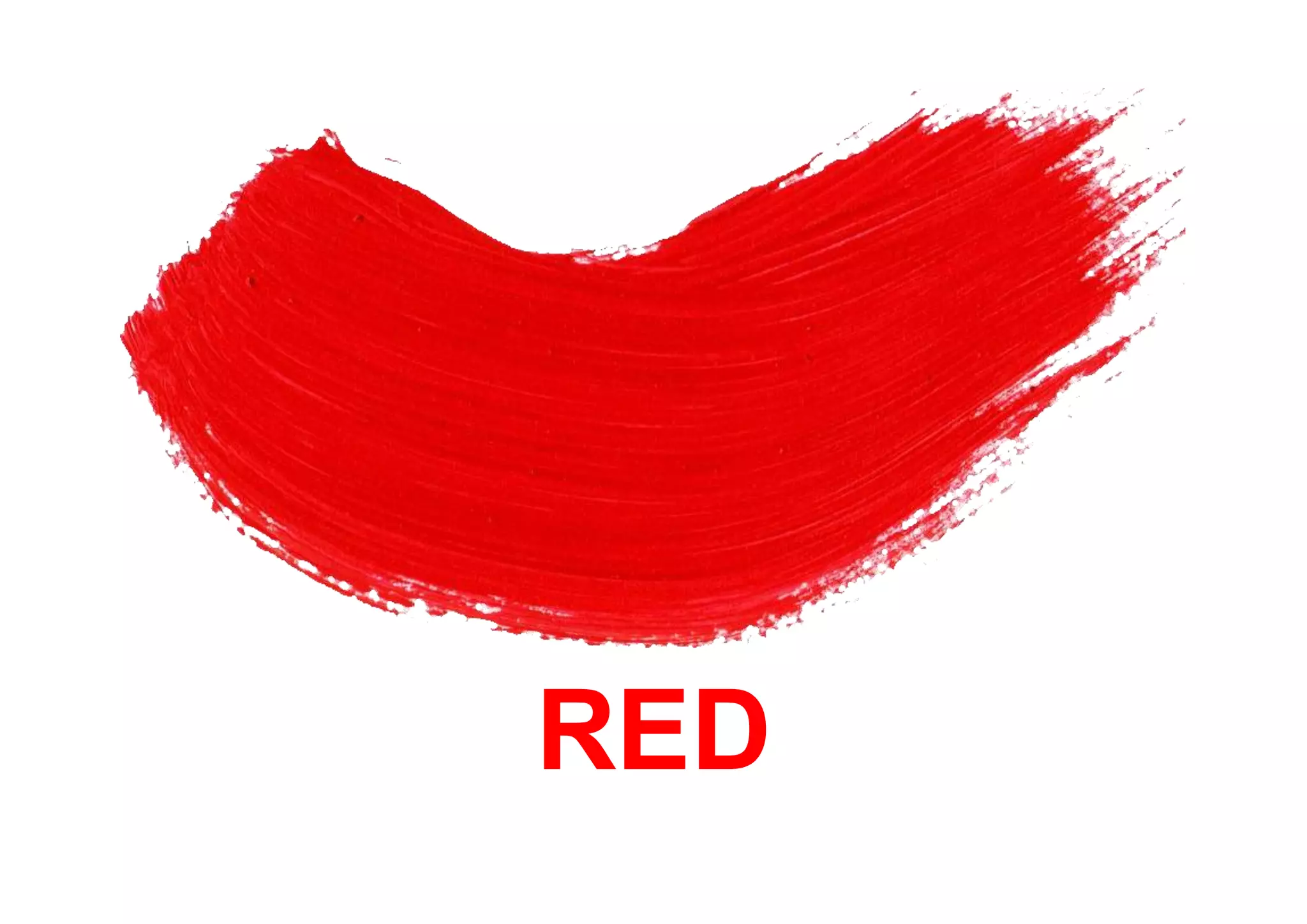 AUTUMN VOCABULARY P4 | DOCX