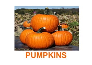 AUTUMN VOCABULARY P5 | DOCX