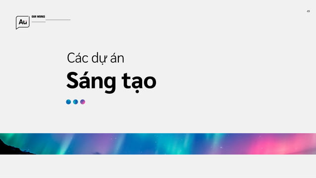 AuVN_Vi_Credential_2023_Update2811.pdf