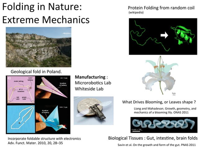 Auxetics and folding | PDF