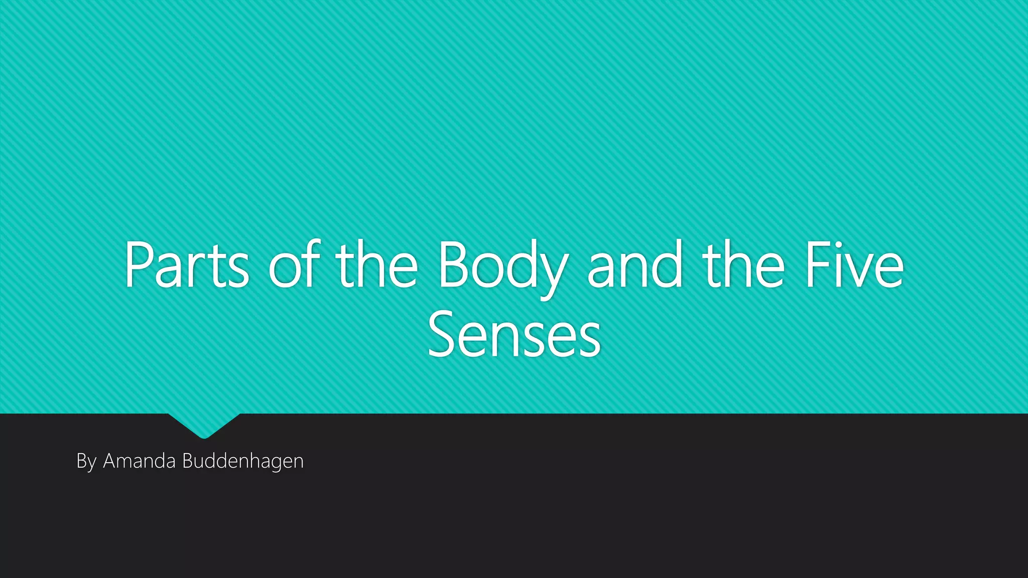 Body Parts and the Five Senses | PPTX