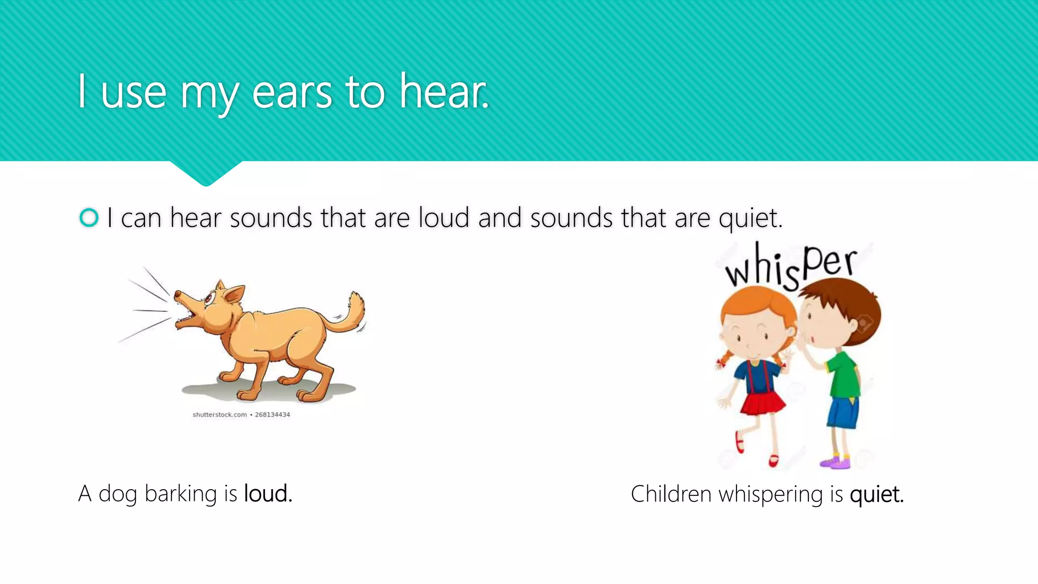 Body Parts and the Five Senses | PPTX