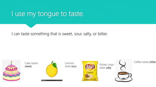 Body Parts and the Five Senses | PPTX