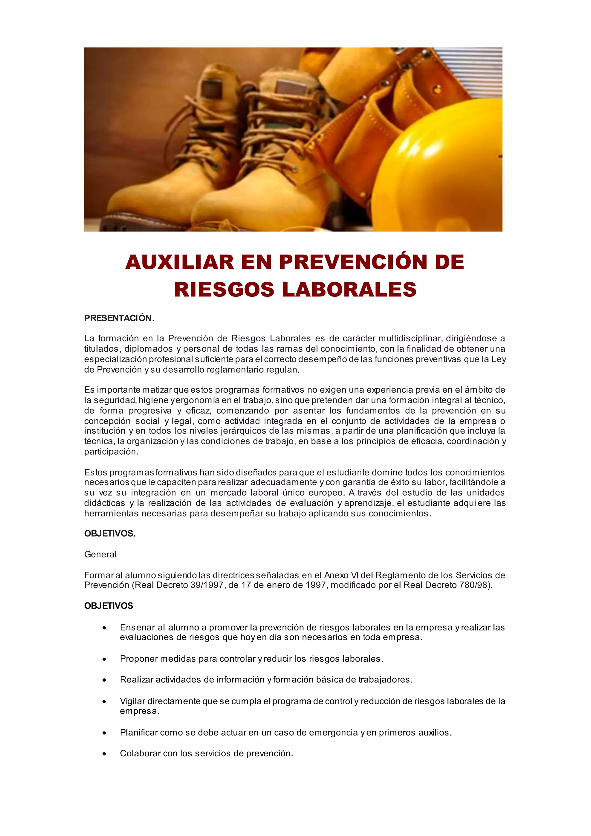 Auxiliar en prevención de riesgos laborales | DOCX