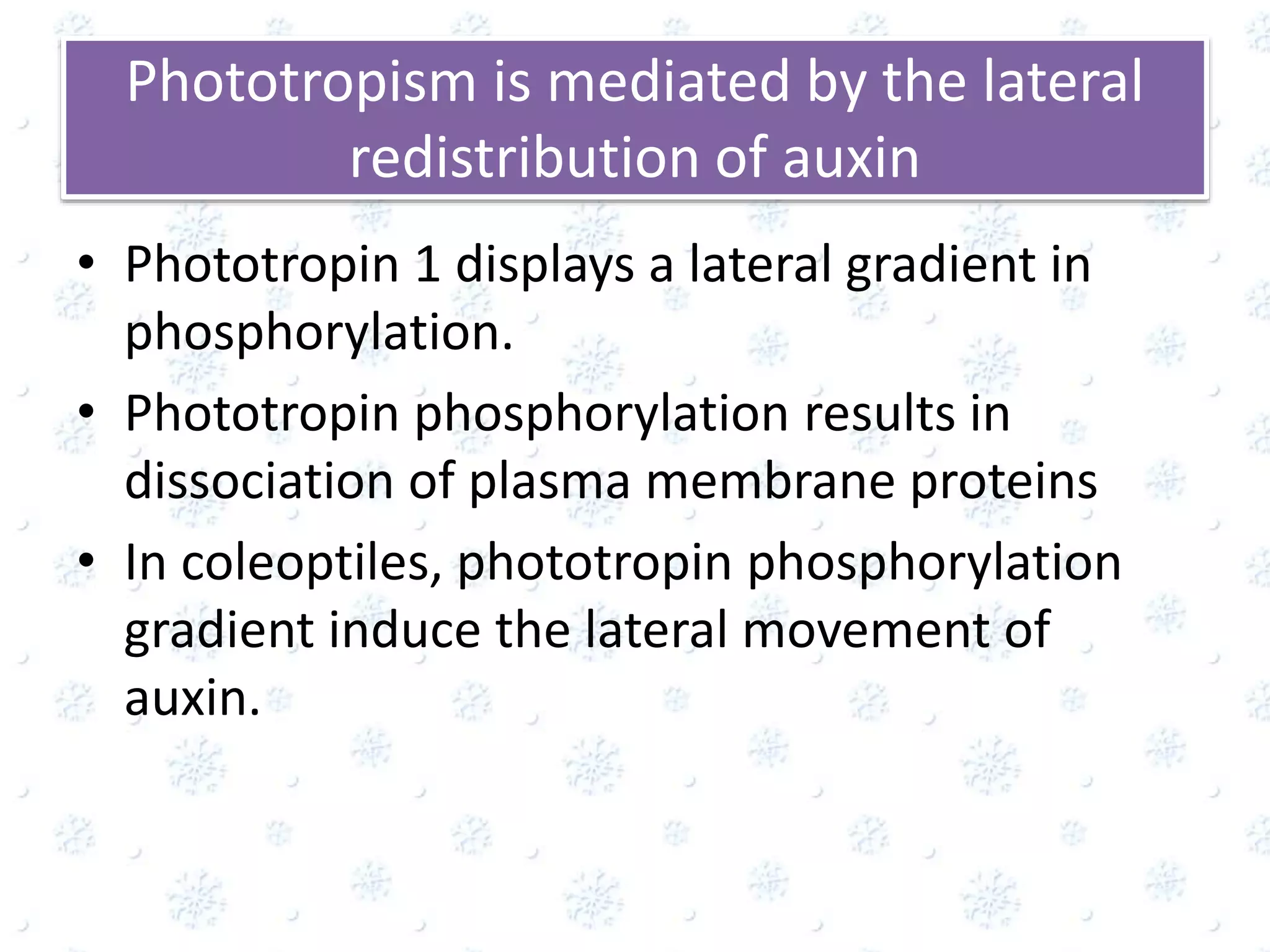 Auxin | PPTX