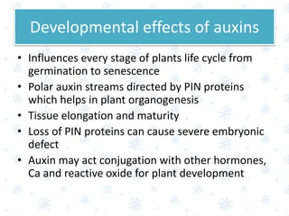 Auxin | PPTX