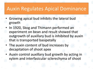 Auxin | PPTX