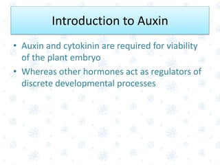 Auxin | PPTX