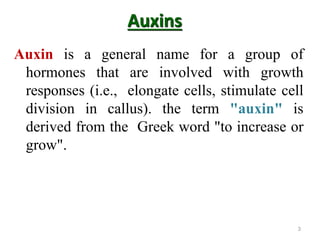 Auxin | PPTX