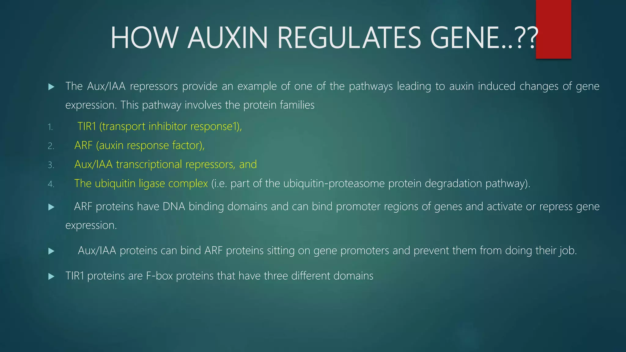 Auxin | PPTX